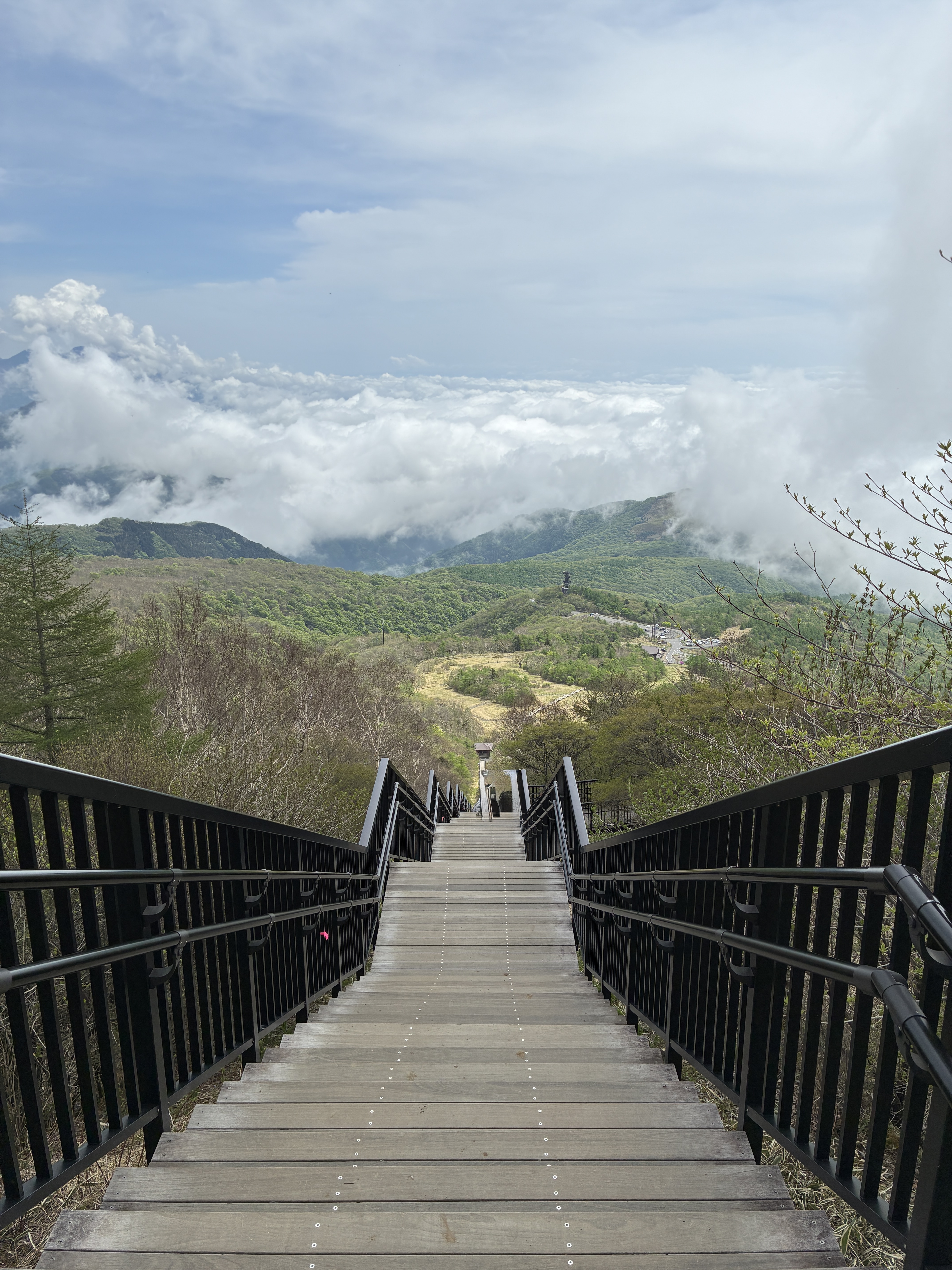 これからの季節にオススメの勉強合間のフード＆ドリンク | KEC近畿予備校/KEC近畿教育学院 公式ブログ